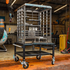 3 Foot Live-Fire Table – Cen-Tex Smokers